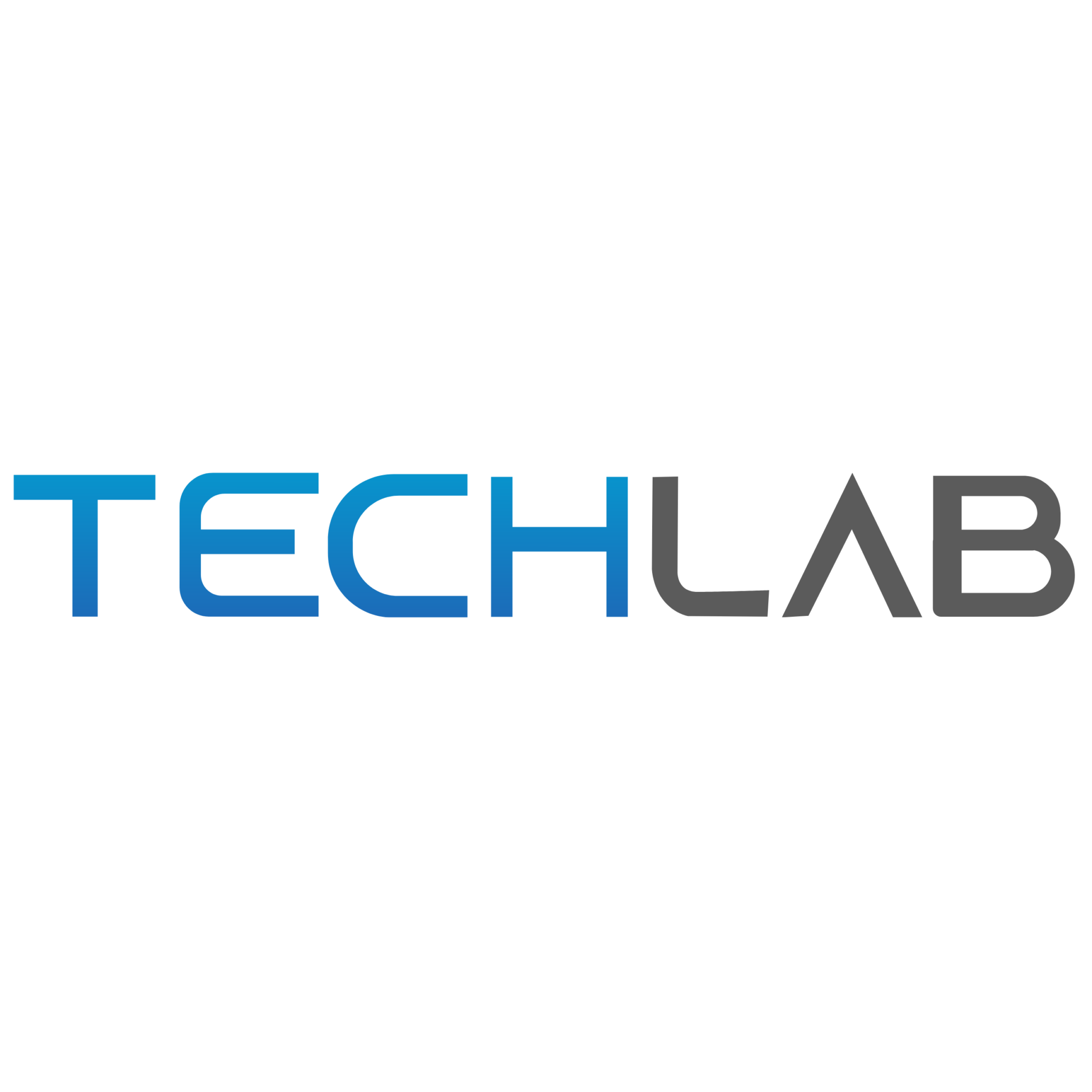 Best Cloud ERP Solutions Services Provider - Techlab Systems Ltd